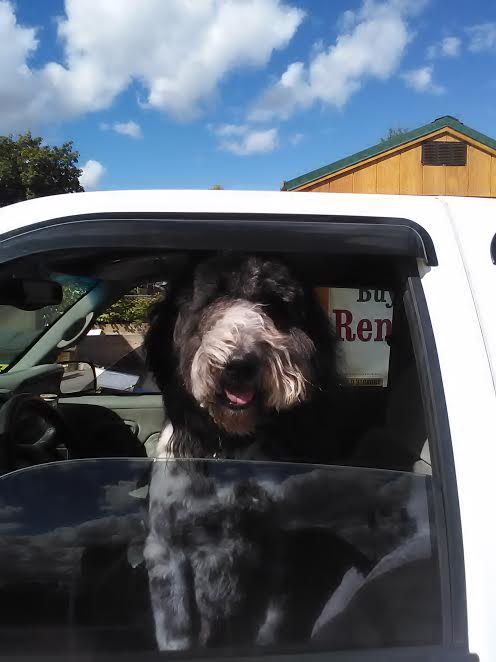 Handy Dogs | Free Handyman Help For Veterans